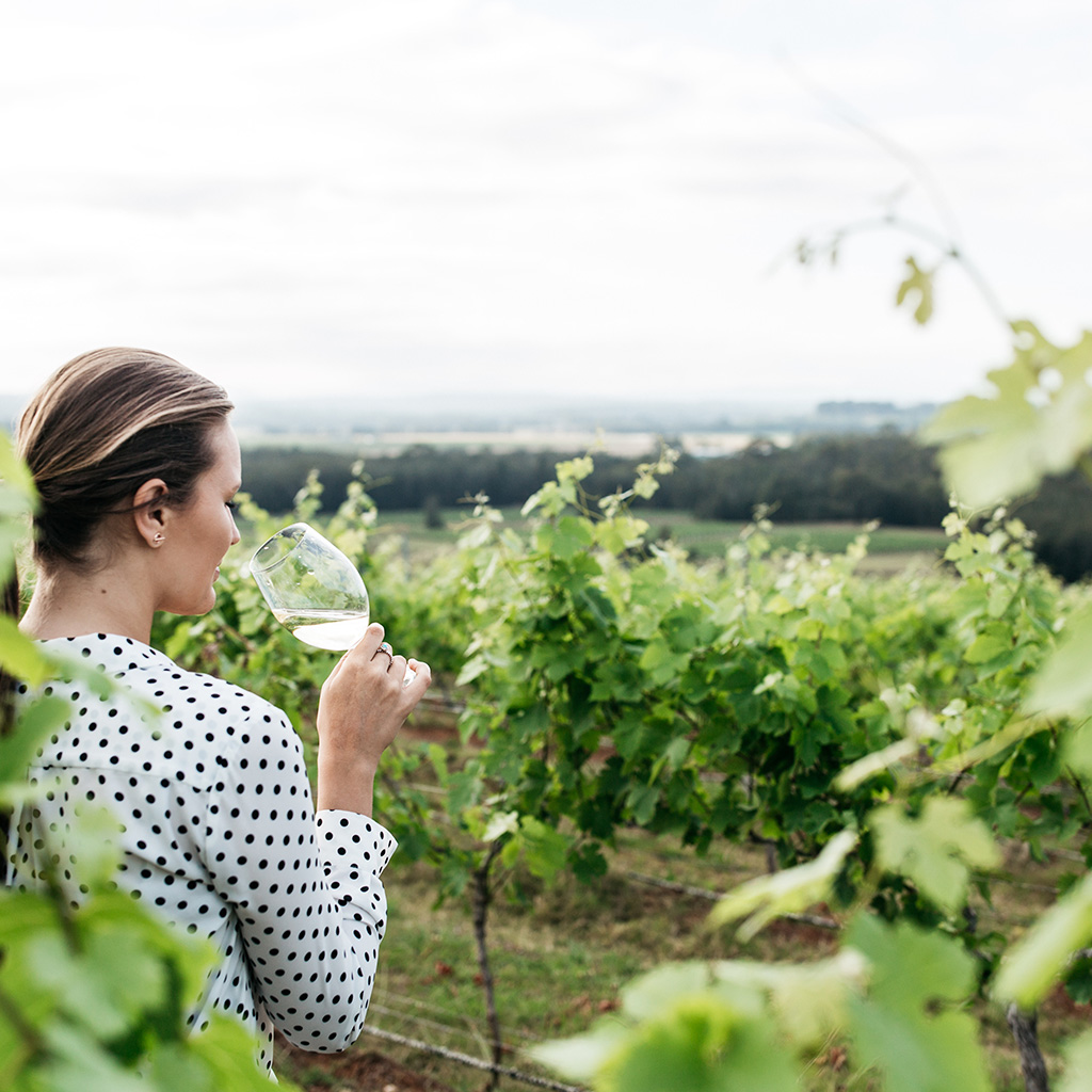 McGuigan Wines | Our Awards & Global Wine Accolades